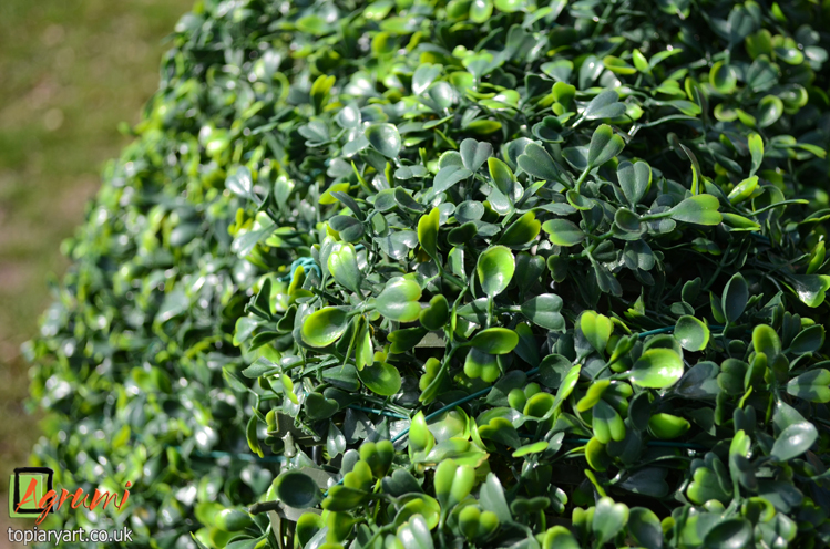 Agrumi Topiary - Artifical Boxwood Matting