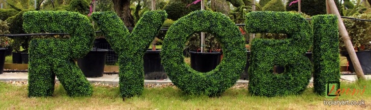 Topiary Letters and Numbers - Agrumi Bespoke Topiary